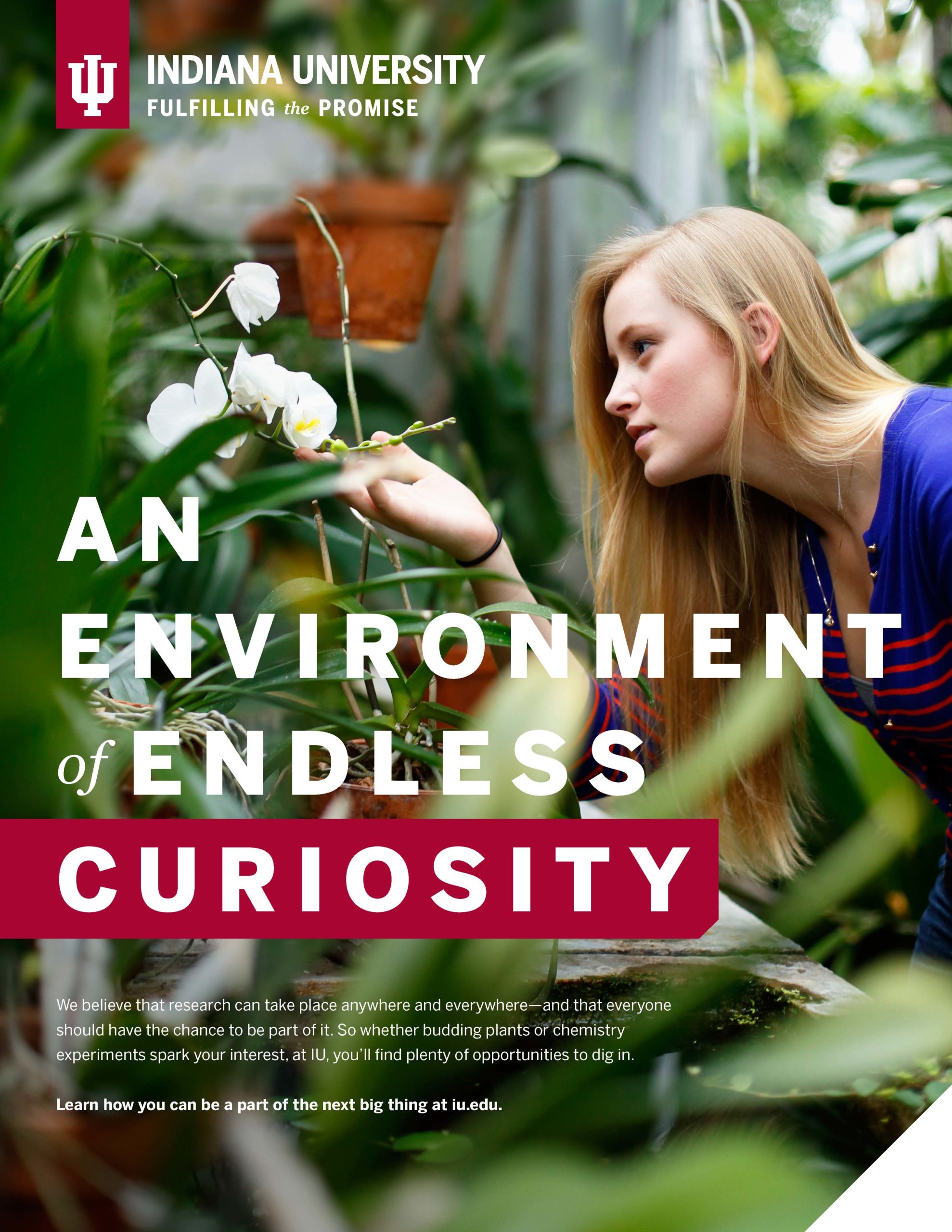 Indiana University Brand Ads | Amber Elise Page